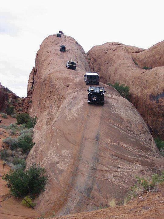 Lions back in Moab Utah ~ Malomaat