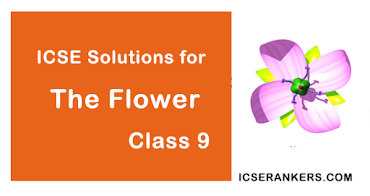 Selina Concise Ch 4 The Flower ICSE Solutions Class 9 Biology