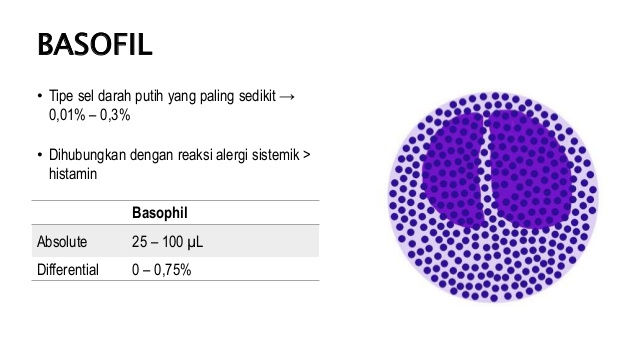 KESEHATAN: SISTEM HEMATOPOITIK ( KOMPONEN DARAH )