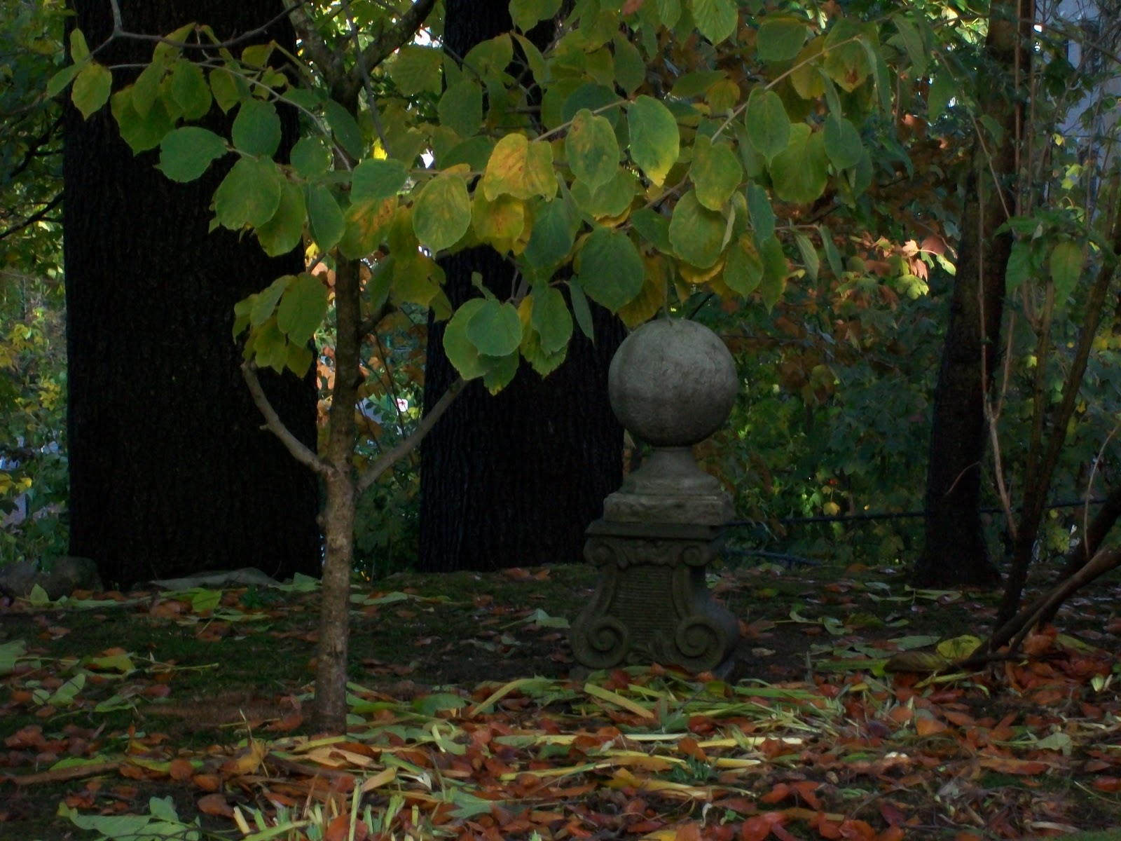 Vancouver Voyager: The Haunting of The Hycroft