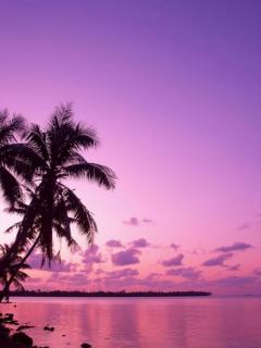 240x320 Nature Wallpapers Download | Mobile Wallpapers | Download Free ...