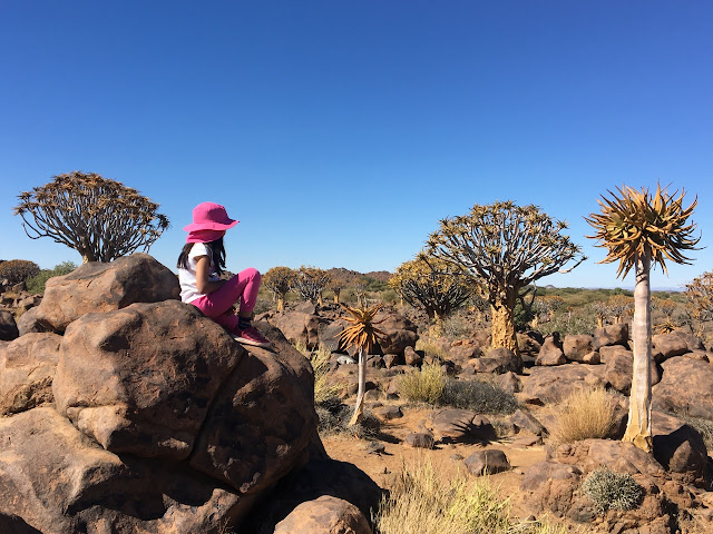 Viagem para Namíbia: tudo o que você precisa saber para planejar a sua ...