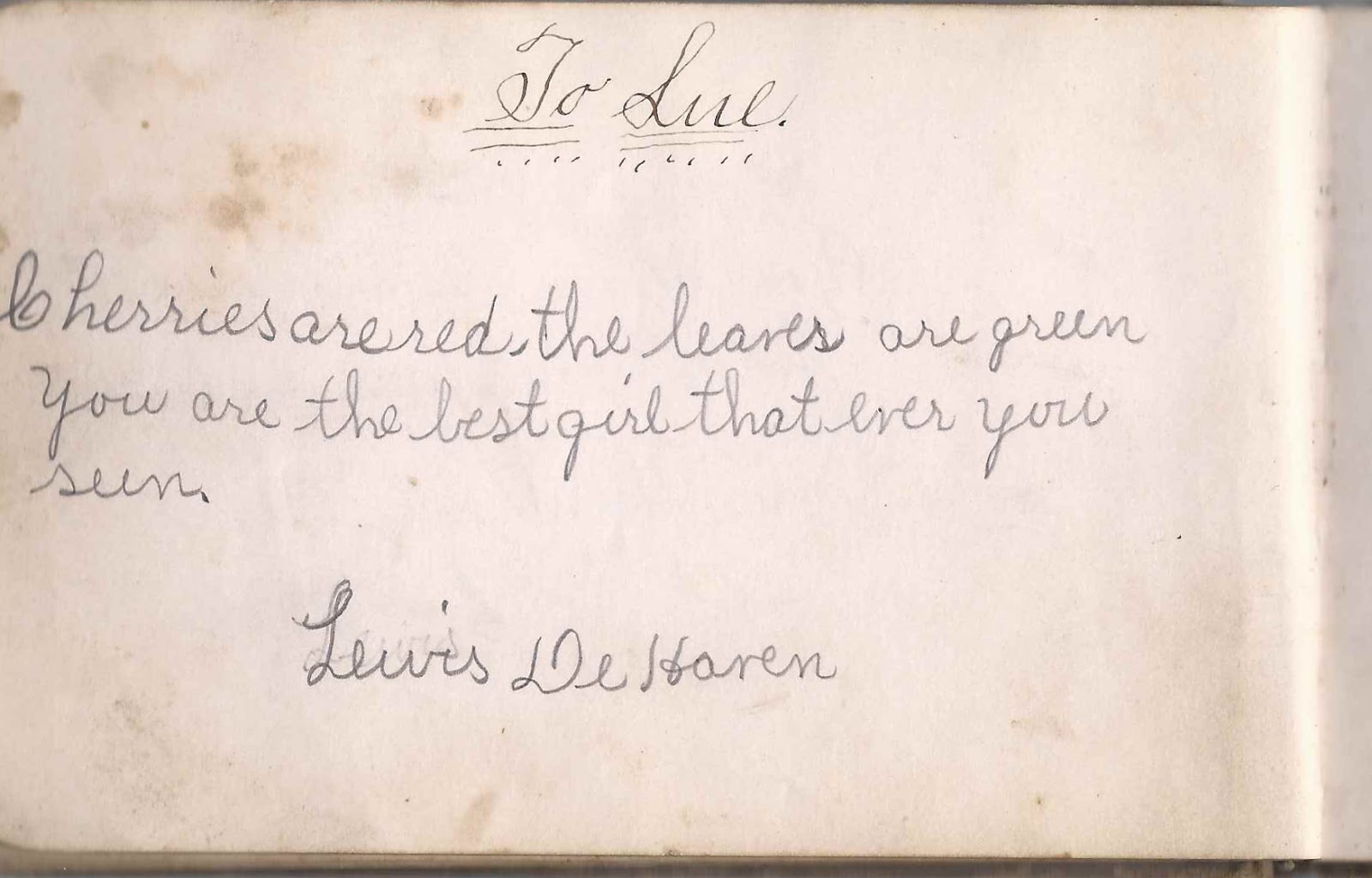 Heirlooms Reunited: 1880s Autograph Album of Susan Sheneman of Chester ...