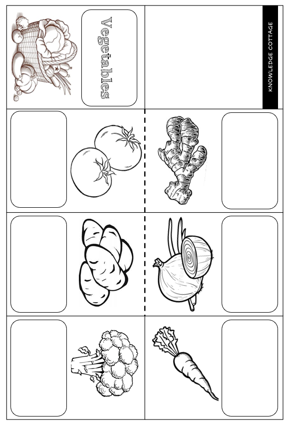 Vegetable Mini Book Template