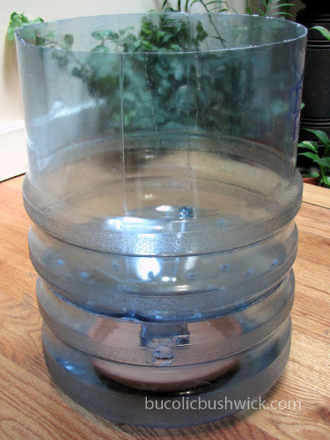 Bucolic Bushwick: DIY Self Watering Container: Water Cooler Bottle