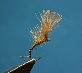 FLIES AND STUFF: The LDO Compara Plume Tip Emerger