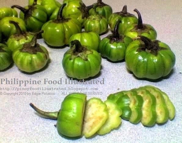 Philippine Food Illustrated: paria