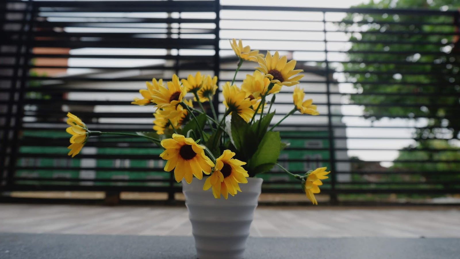 Macam-macam Angle Fotografi : FROG EYES, HIGH ANGLE, DAN LOW ANGLE