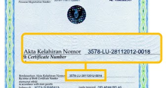 Cara Mengisi Nomor Registrasi Akta Lahir Peserta Didik di Aplikasi ...