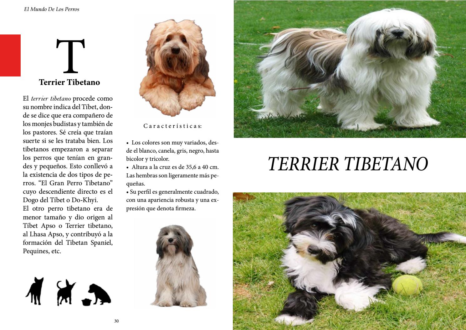 PERROS Y GATOS FAMOSOS: ENCICLOPEDIA DE LOS PERROS TIPOS DE RAZAS