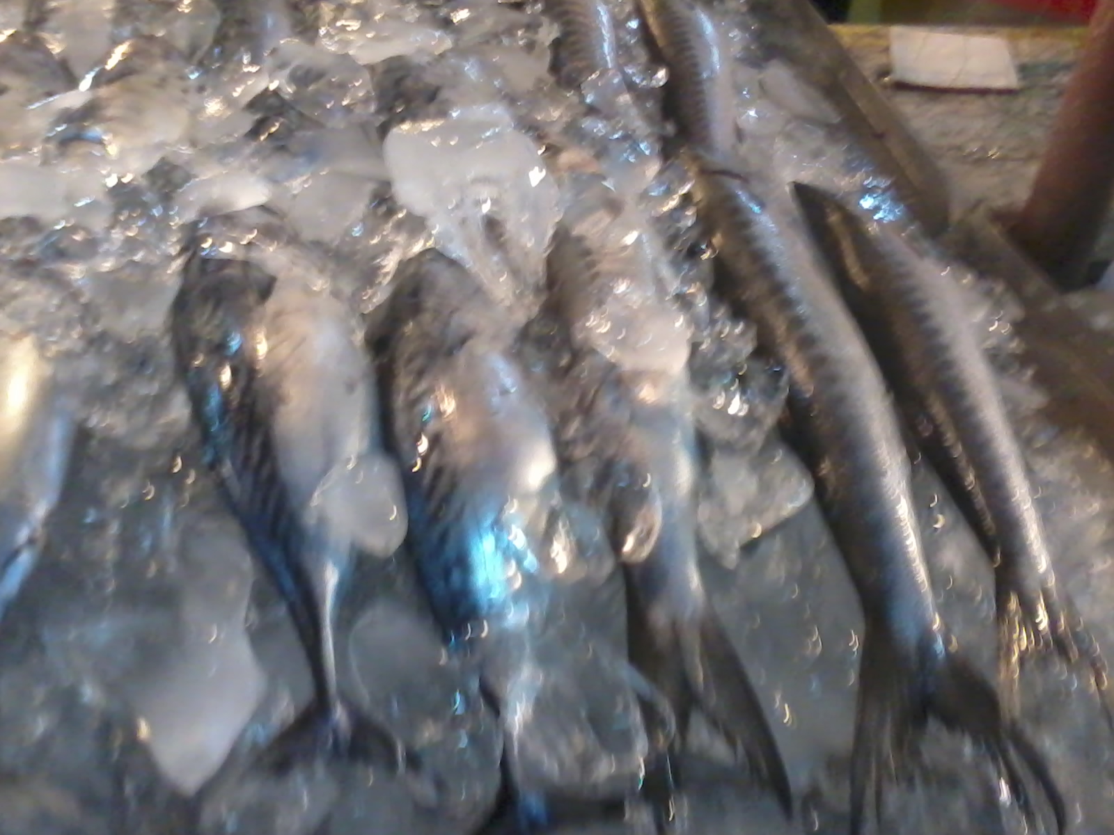 Dampa sa Libis Food Review | Security Blanket