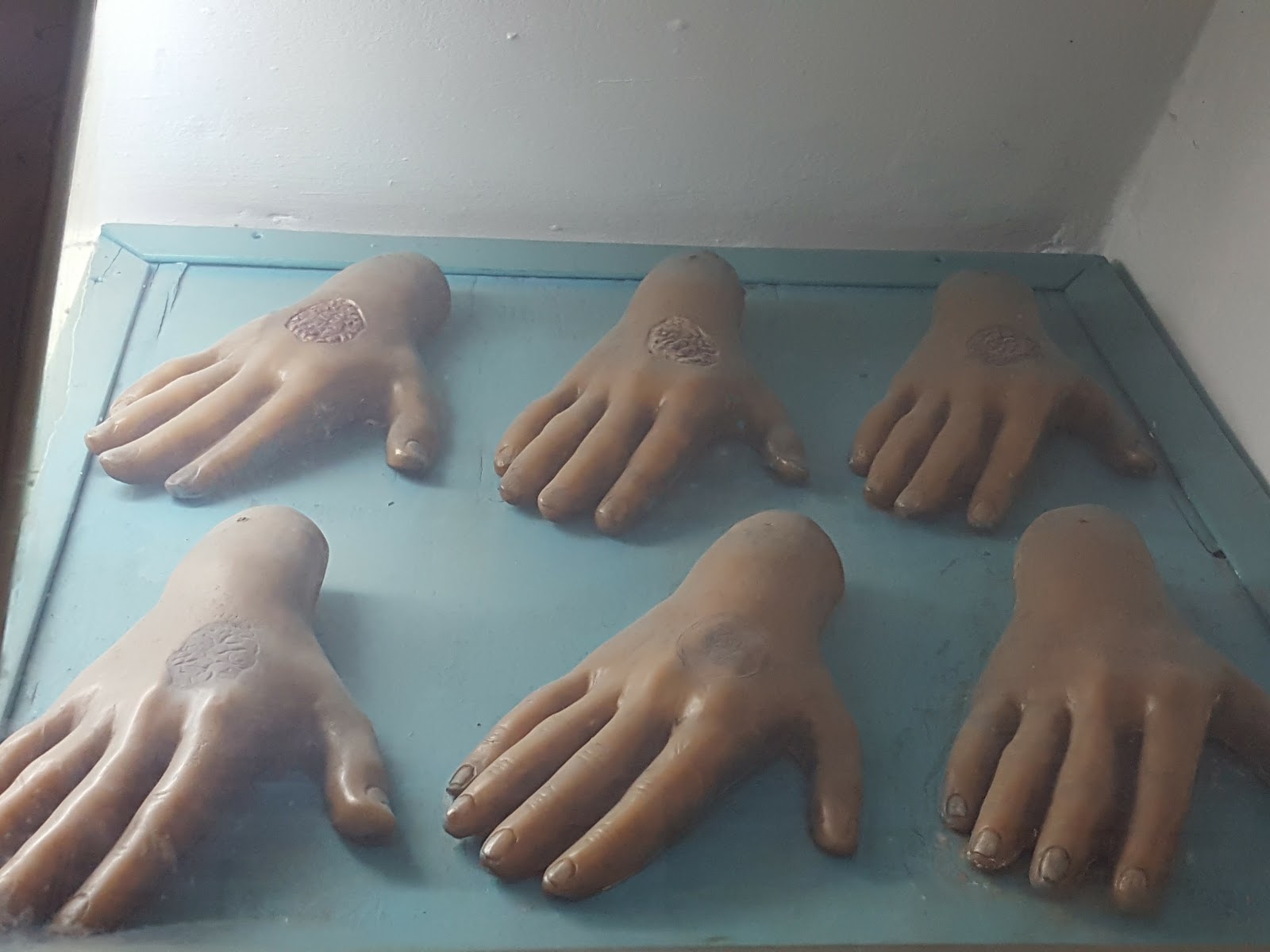 Forensic museum models and specimens (upadated 2016)