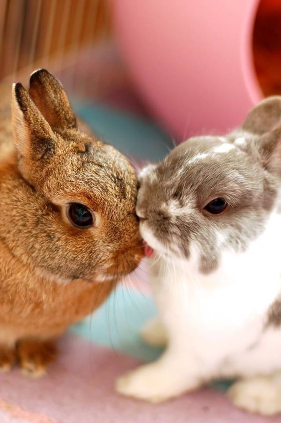 And Then We All Had Tea: My Favourite Things