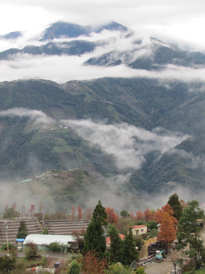 Puli, Wushe & Cingjing Farms, Taiwan (浦里/霧社/情境农场)