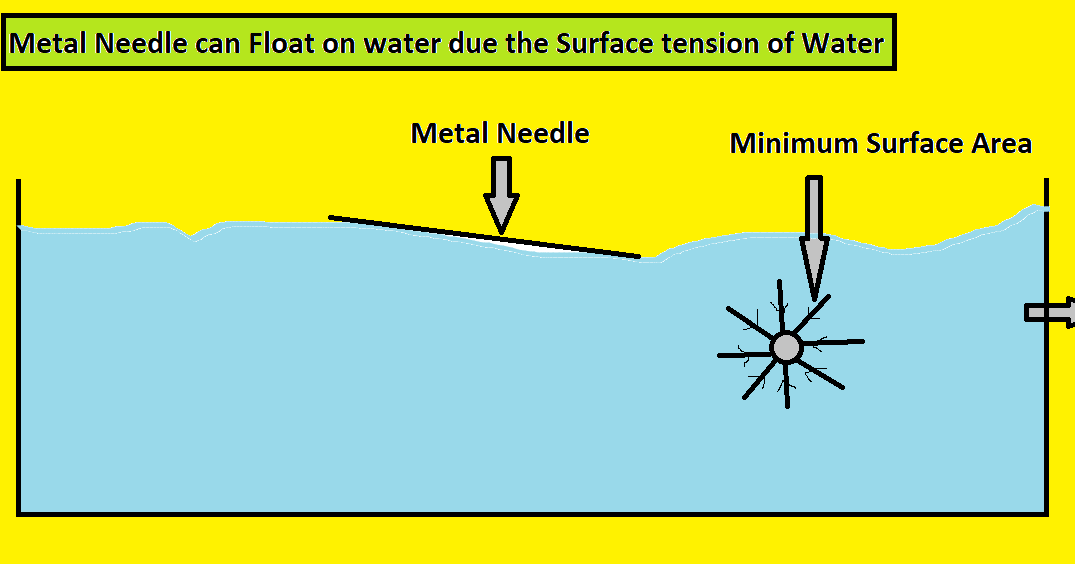Surface Tension uses in daily life