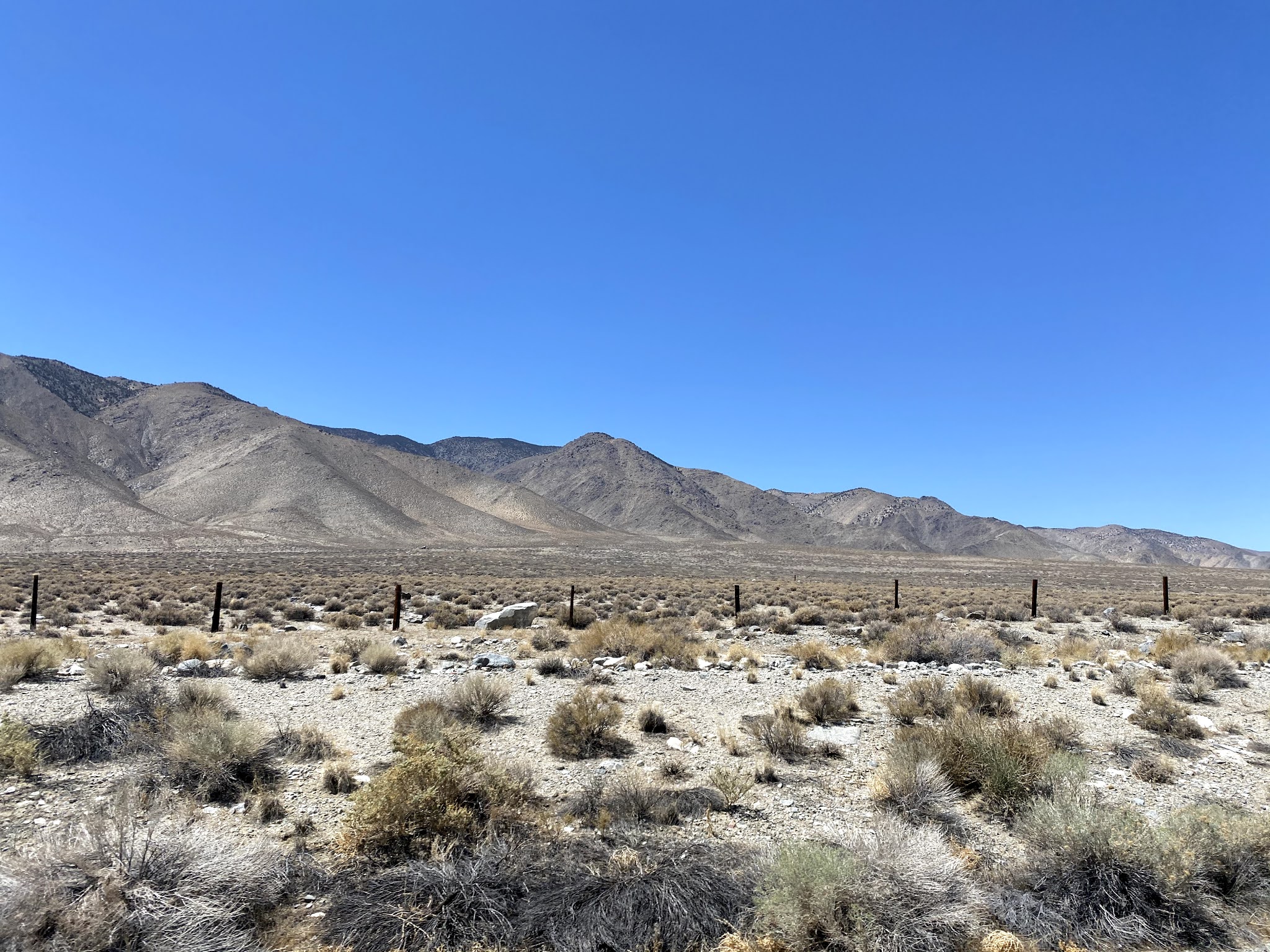 POSTCARD: From Nevada - Biblio-Style