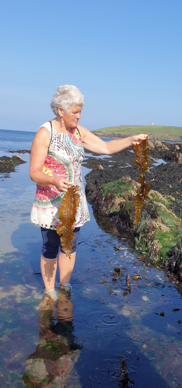 Seaweed Walk at Knockadoon – Youghal Blue and Green Community Network