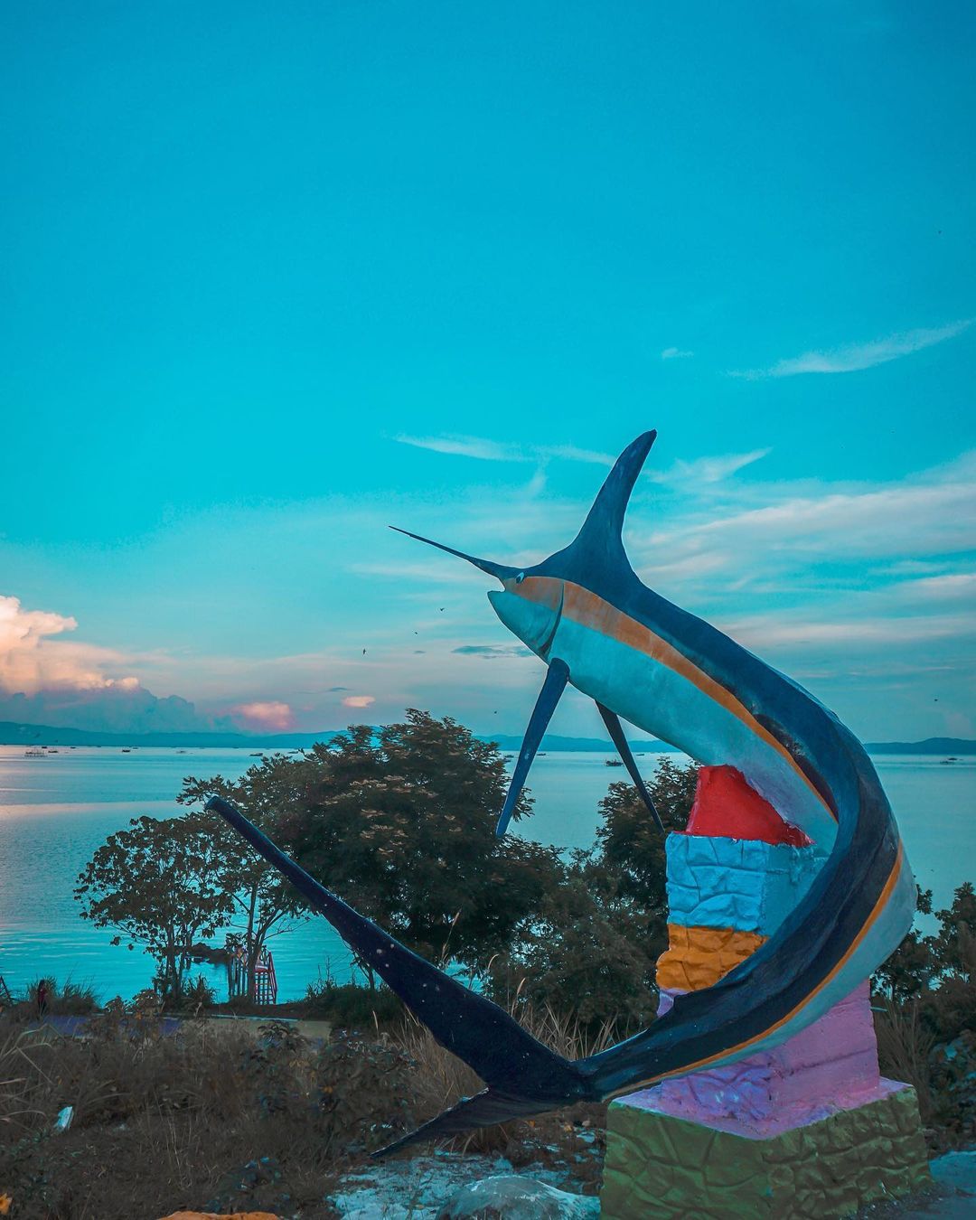 Pitas Bay View Sabah Malaysian Borneo (36 Photos)