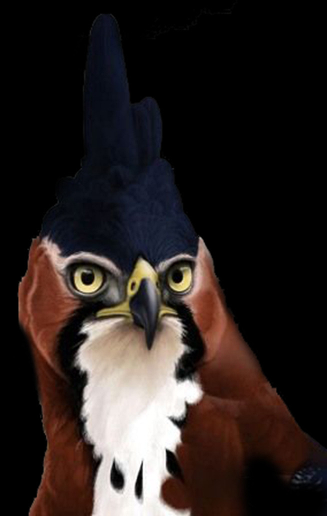 My Life with Functional Neurological Disorder: The Grass Grows!