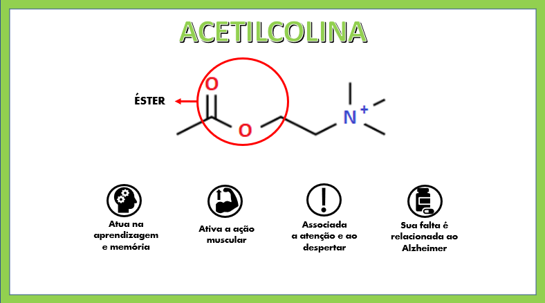 Imagem na Química: Funções Orgânicas Oxigenadas e Nitrogenadas ...
