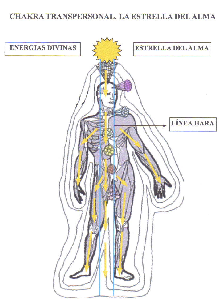 Sistema de Sanación Natural Tinerfe: Sistema de Chakras Transpersonales ...