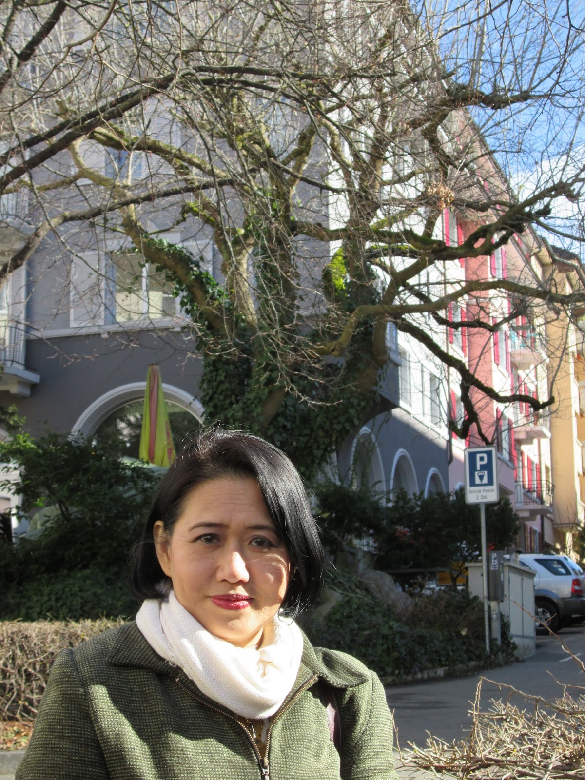 The Alps and the City of Zurich from Wipkingen Church