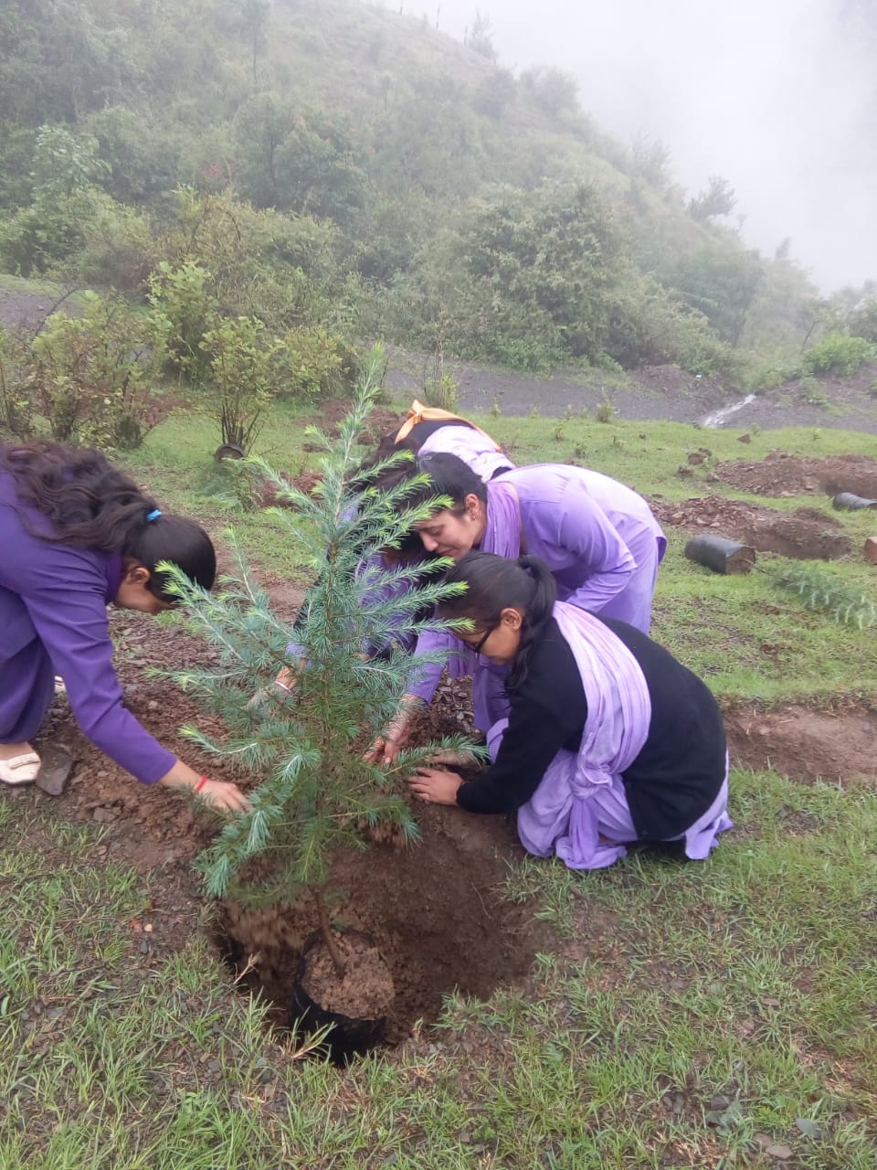 Tree plantation Day held on 27/7/2019 - Shantialya