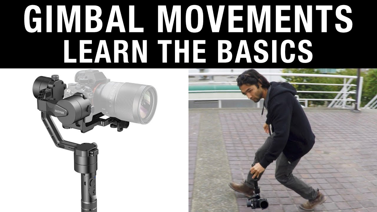 Gimbal Movements: Learn the Basics - Photography Blog Tips - ISO 1200 ...