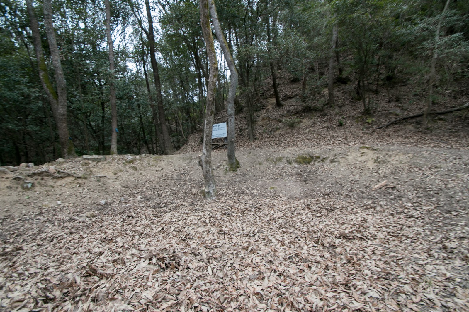 Niitakayama Castle -Intellectual pillar of Mouri clan (2)- | Japan ...