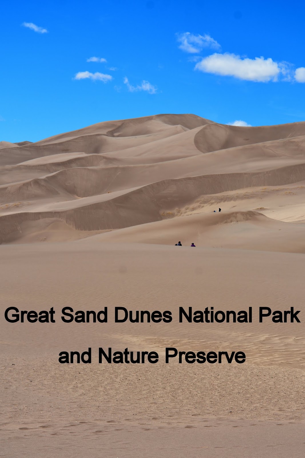 Mille Fiori Favoriti: The Great Sand Dunes National Park, Part One