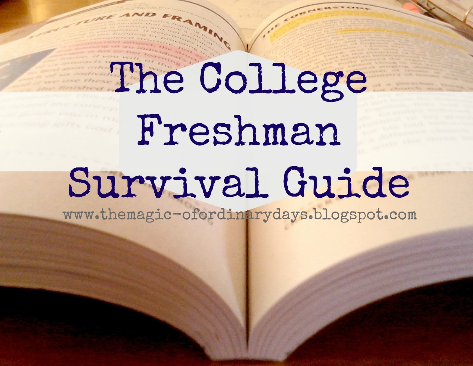 The Magic of Ordinary Days: The College Freshman Survival Guide - Part 1