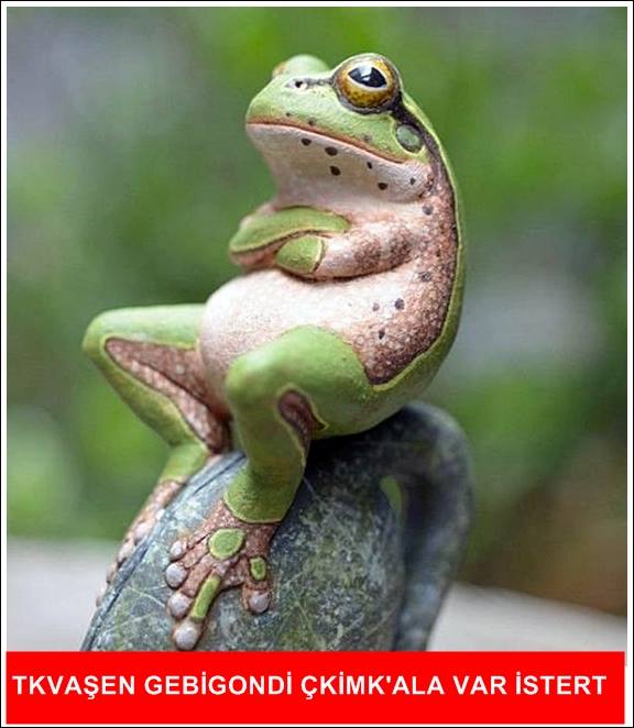 ARHAVİ ARKABİ HACİŞİ: Lazca