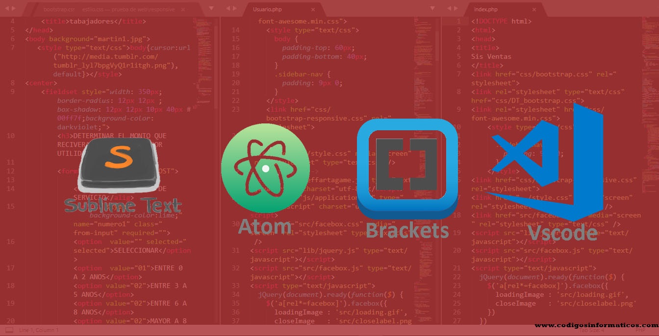 Editores de Codigo Fuente
