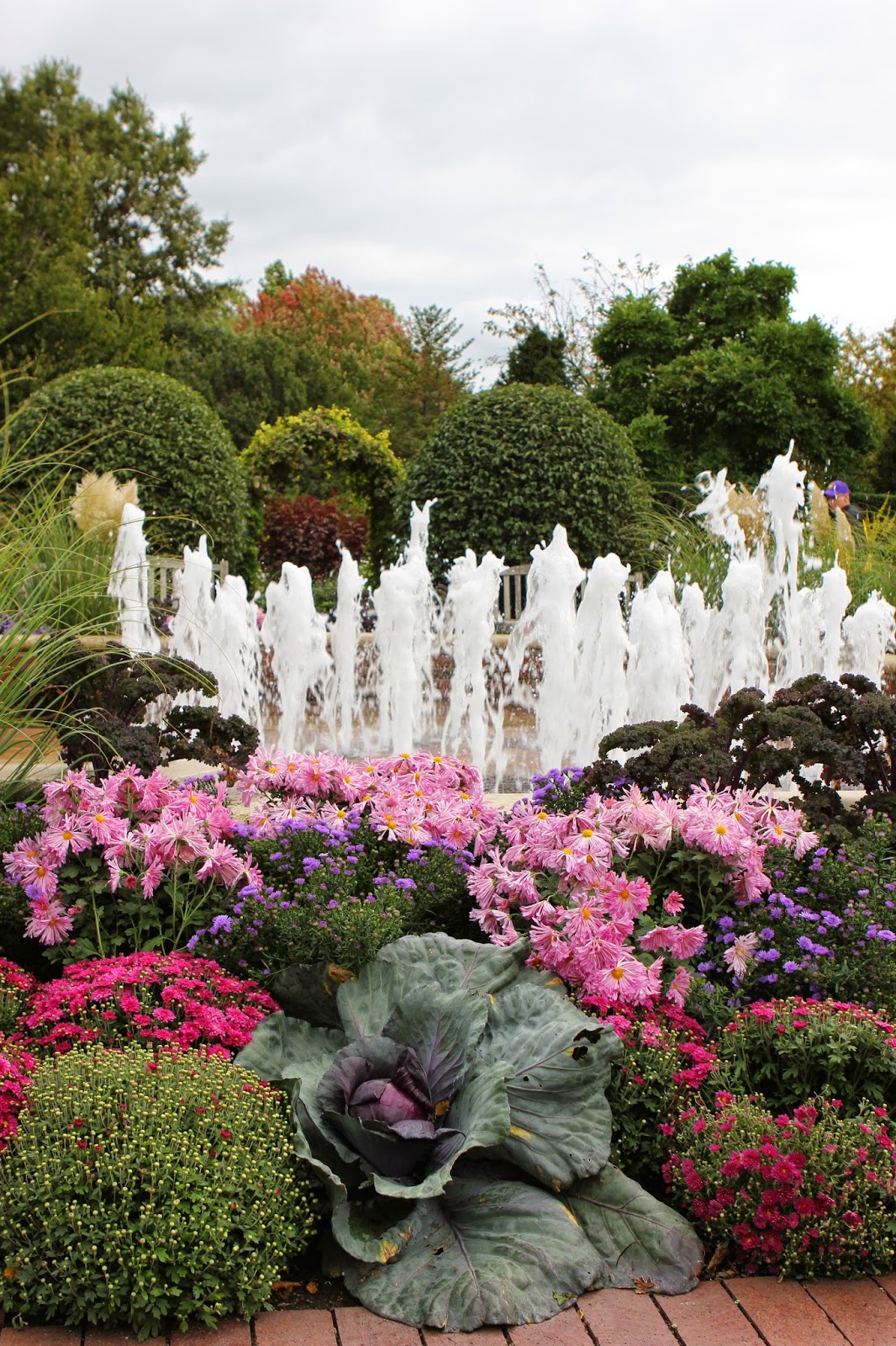 Romancing the Home: Fall Color at the Chicago Botanic Gardens