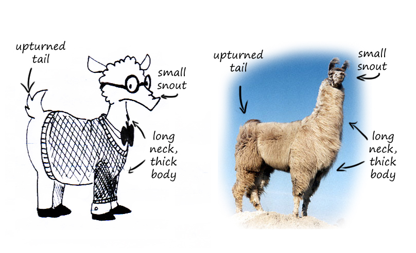 Lessons About Animation -- At Home!: Solid Drawing