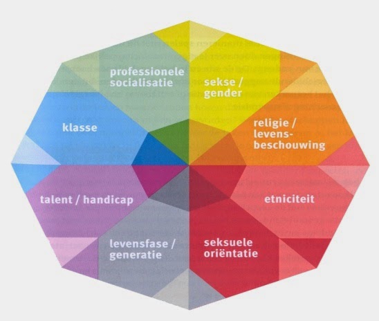 Diversiteit N1: Een beschrijving van de diversiteit binnen de groepering.