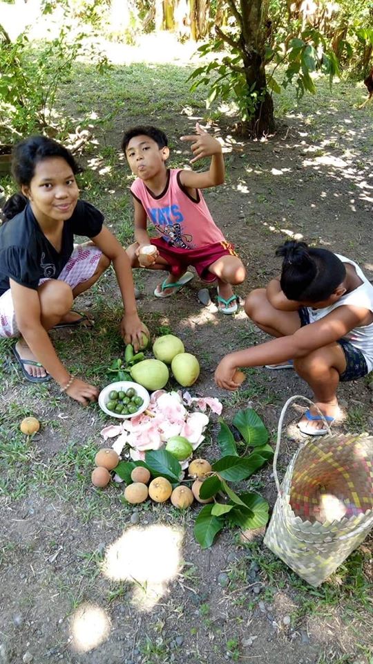 EXPERIENCING PROVINCIAL LIFE