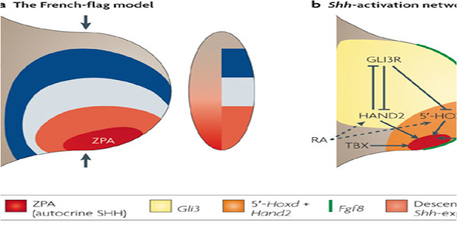 Life After Being A Student - My Mission To Learn: Neurodevelopment ...