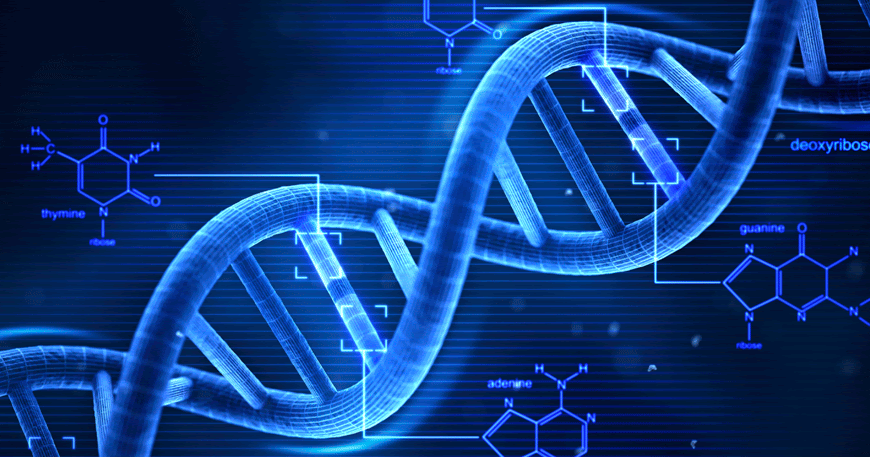 Tous les cours de génétique (S1+S2) ~ COURS de la pharmacie
