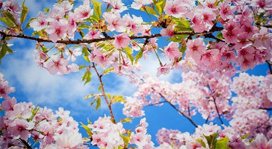 Дођи и види: Људи који су познали Бога