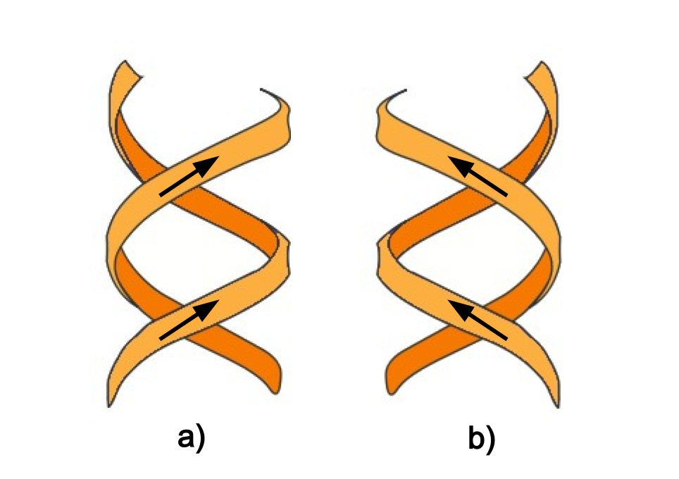 Bacterias Actuaciencia: ADN con tela metálica