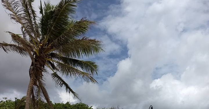 Ficha técnica XT 225 - TDM 225 - Yamaha XT 225