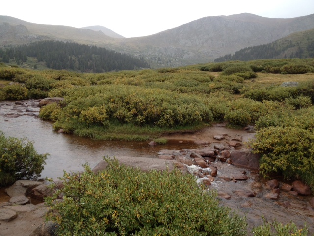 Hiking Colorado's 285 Corridor