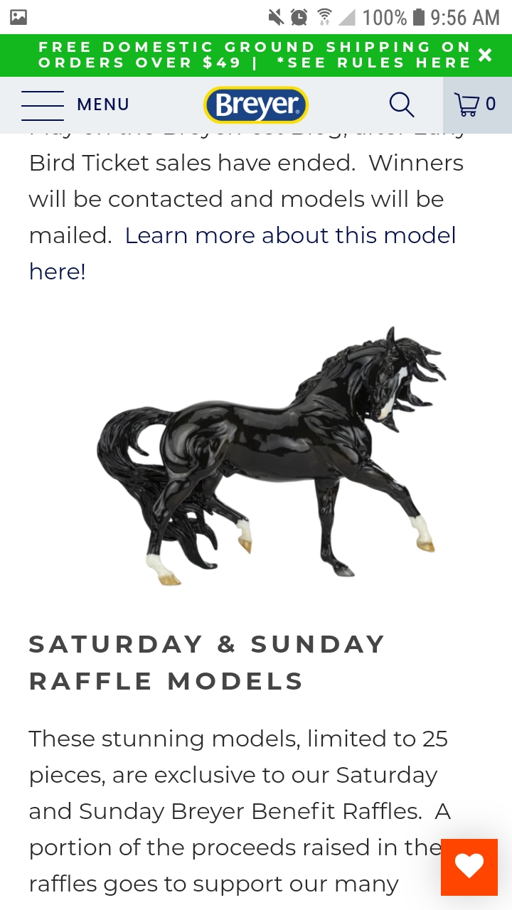 Road To BreyerFest: BreyerFest 2020 Recap #8