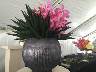 Kanawha Garden Club: The Amazing Art of Leaf Manipulation