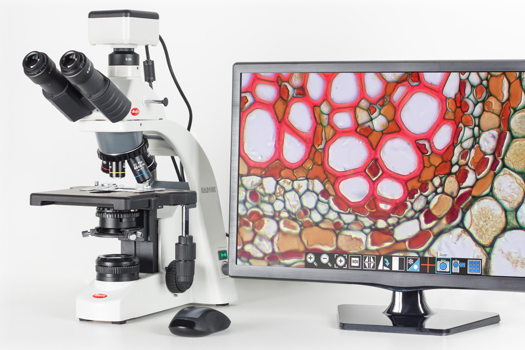Motic Europe | Blog: Color fidelity and fast live image: the new ...
