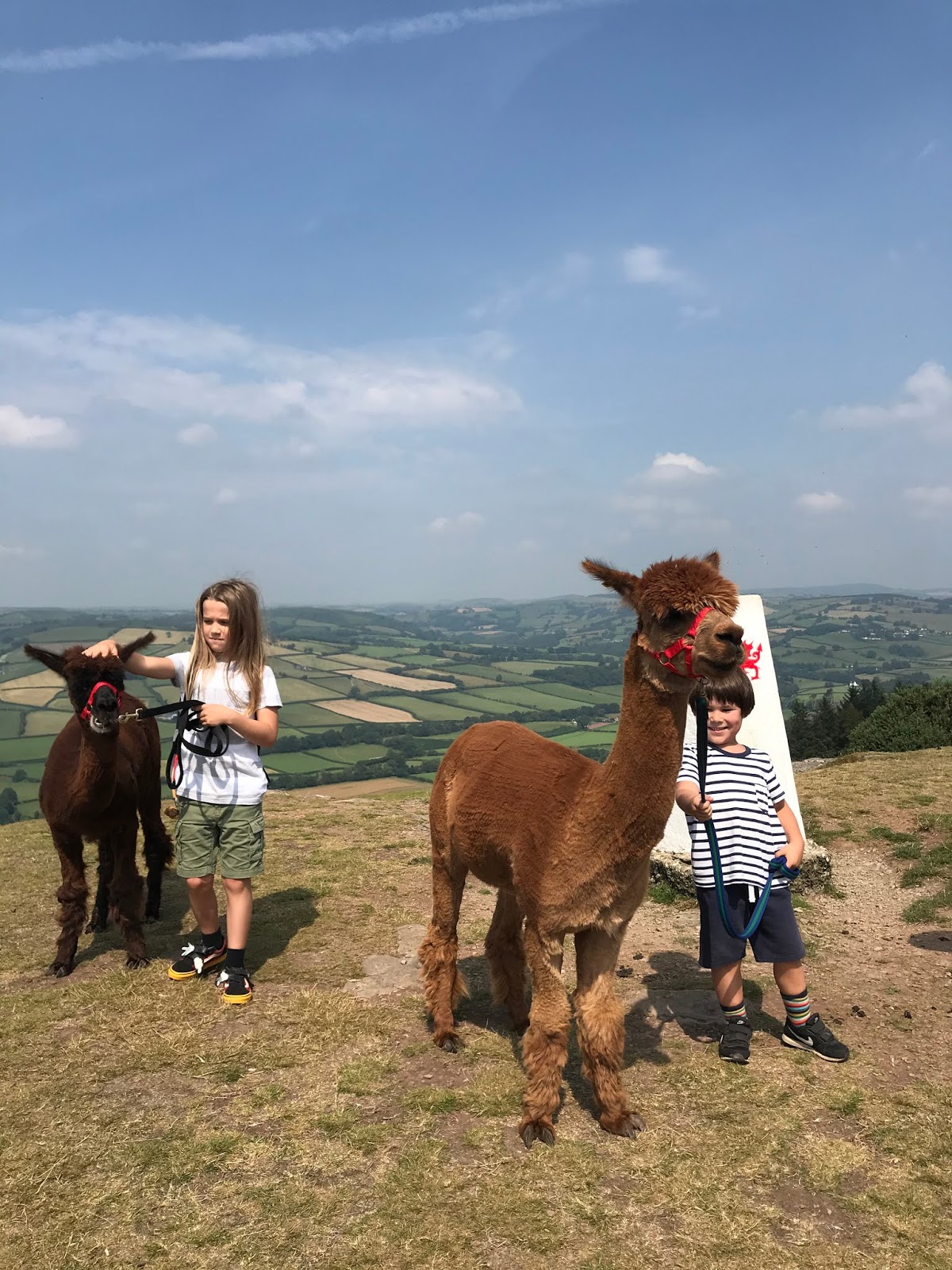 Side Street Style: Alpaca Trekking in the Brecon Beacons
