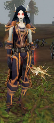 WoW : Fashion: NPC Dark Ranger Lyana (Leather)