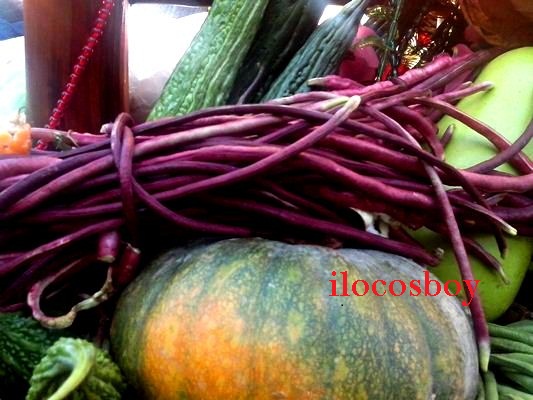 Ilocos: Shanghai Vegetable