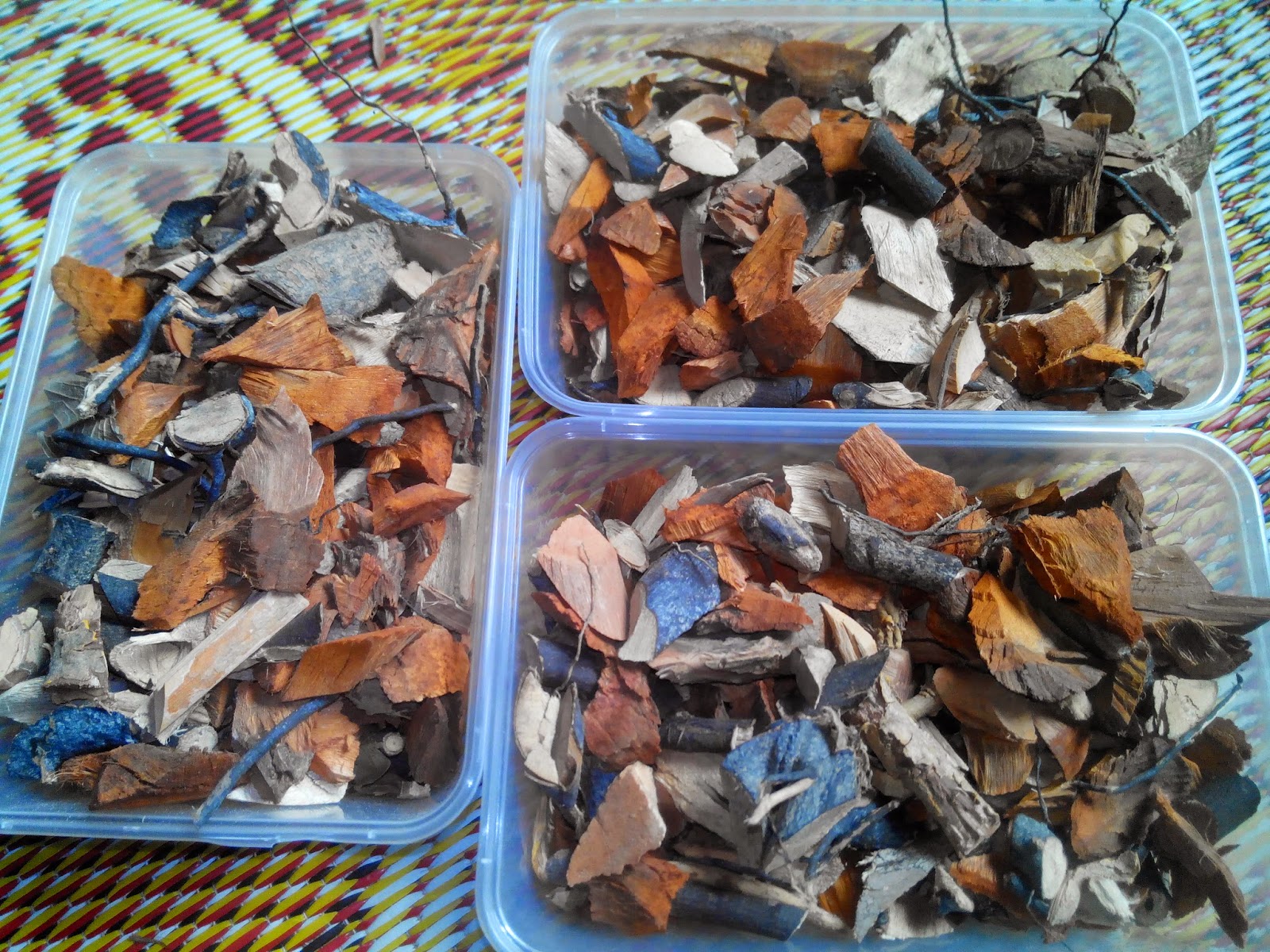 UBAT TRADISIONAL ( AKAR ASLI ): AKAR ASLI UNTUK REBUSAN